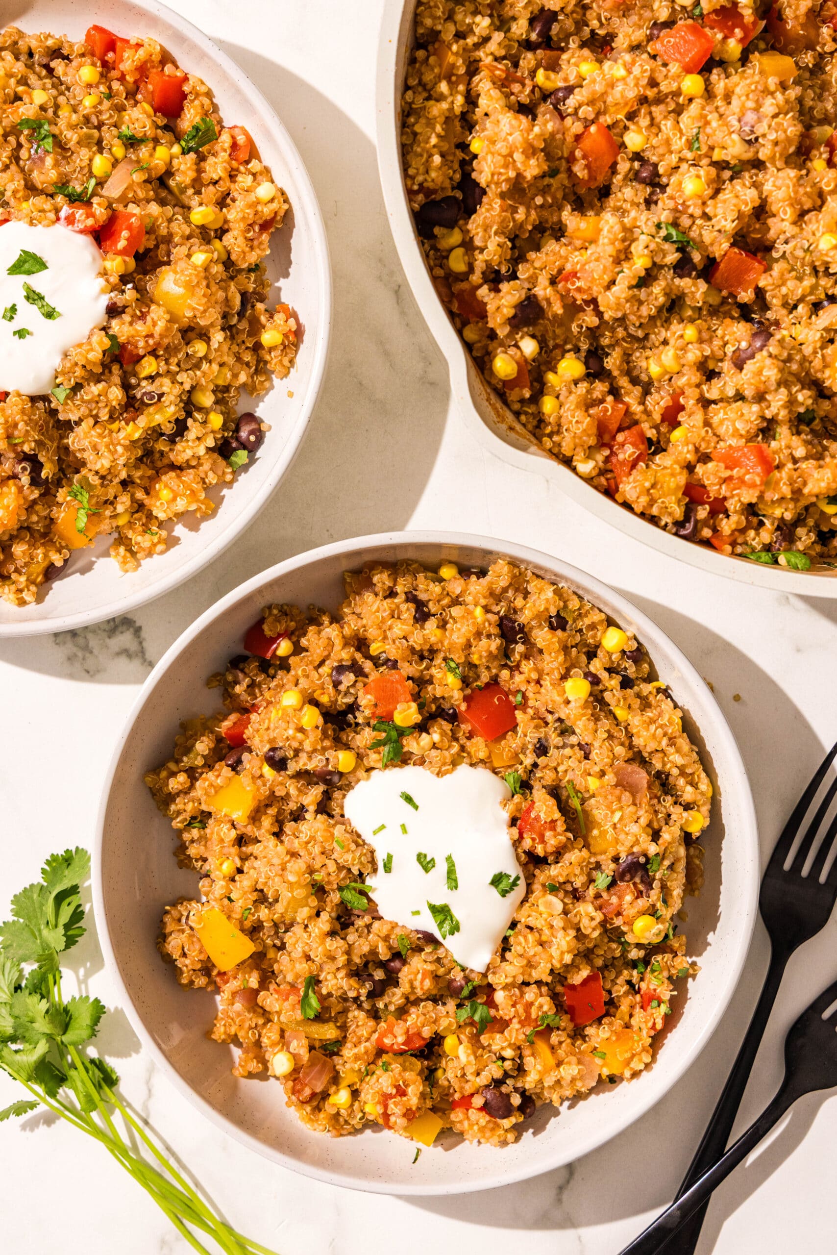 Vegan One Pot Mexican Quinoa - HealthyGirl Kitchen