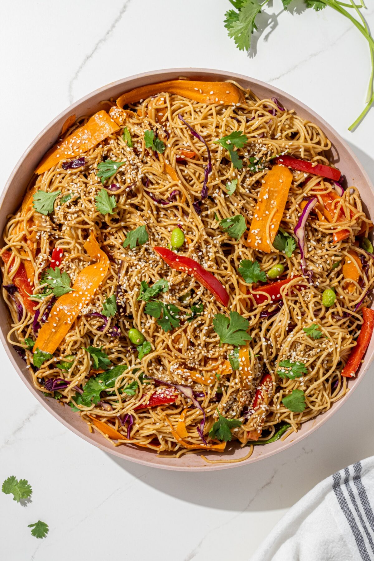 Vegan Rainbow Peanut Noodles (easy dinner inspo!) - HealthyGirl Kitchen