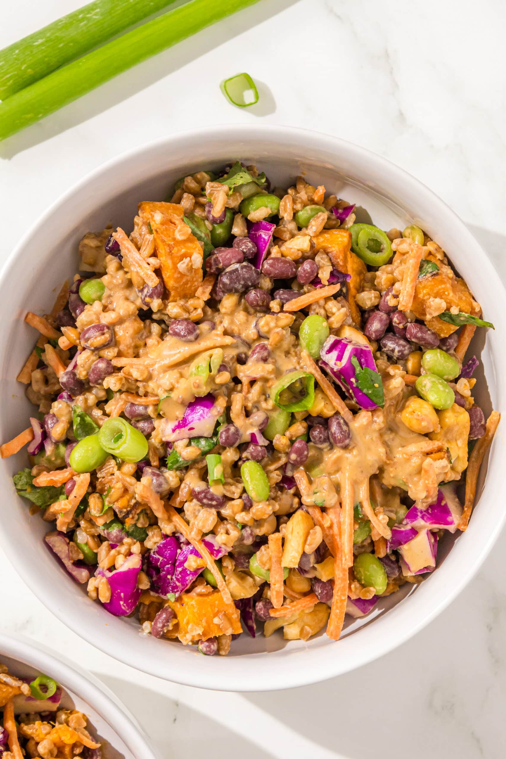 Adzuki Farro Salad (with creamy peanut dressing!) - HealthyGirl Kitchen